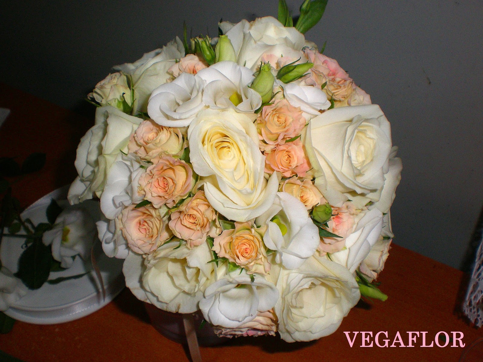 VEGAFLOR