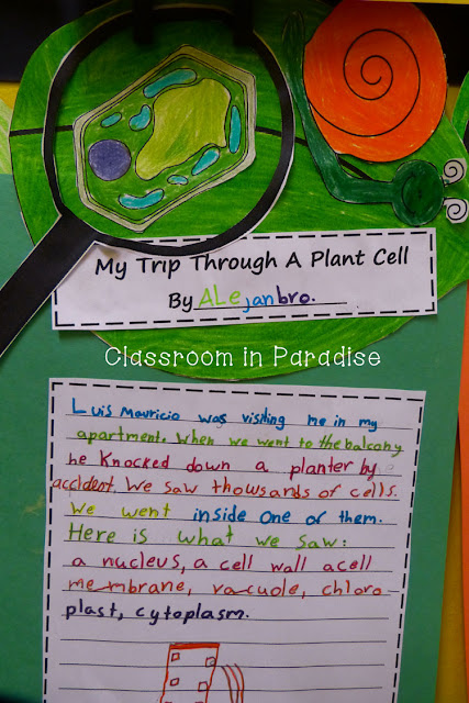 Classroom In Paradise: Plant Cells