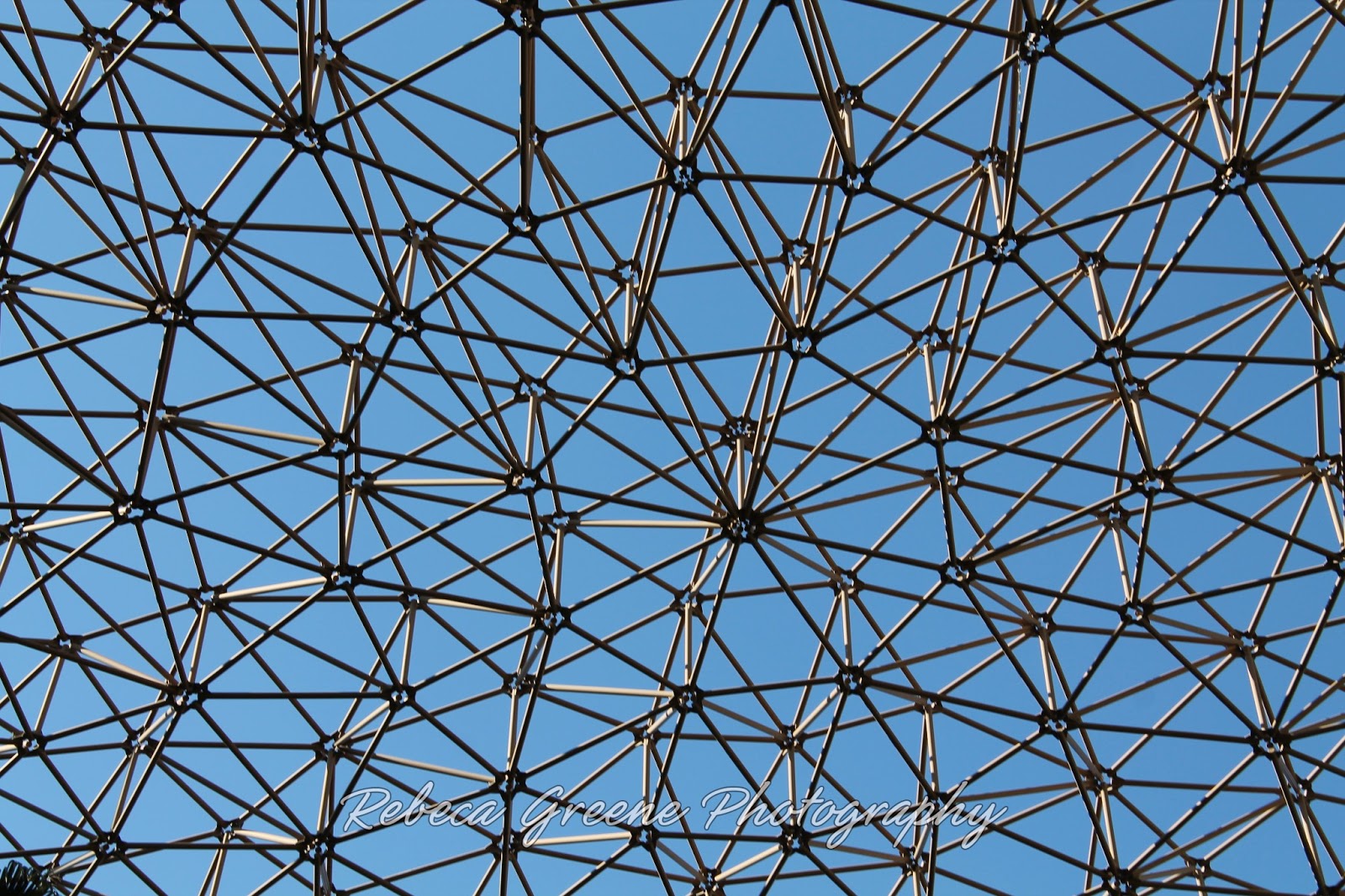 Who's Z? Creations///Rebeca Greene Photography: Test Patterns