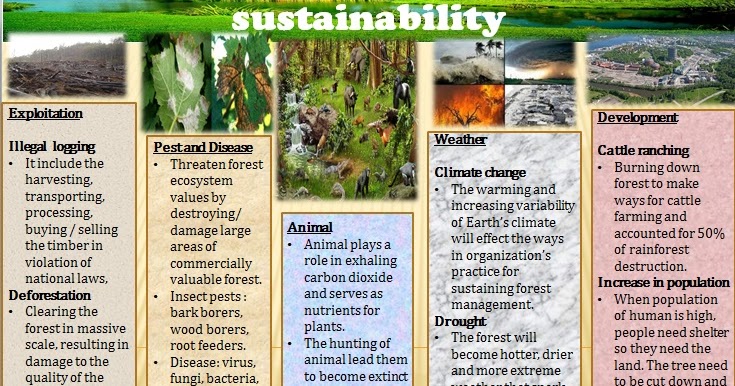 Introduction to Forest Science: THE CHALLENGES IN MAINTAINING FOREST ...