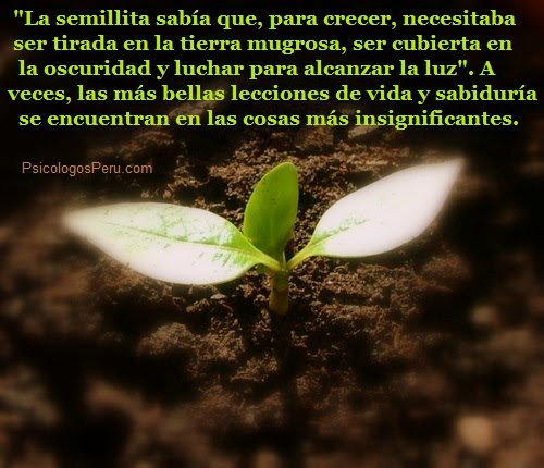 Frases con Imágenes Motivadoras y de Reflexión: FRASE DE REFLEXION PARA ...