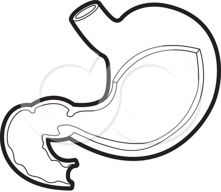 Stomach Coloring Page Coloring Pages