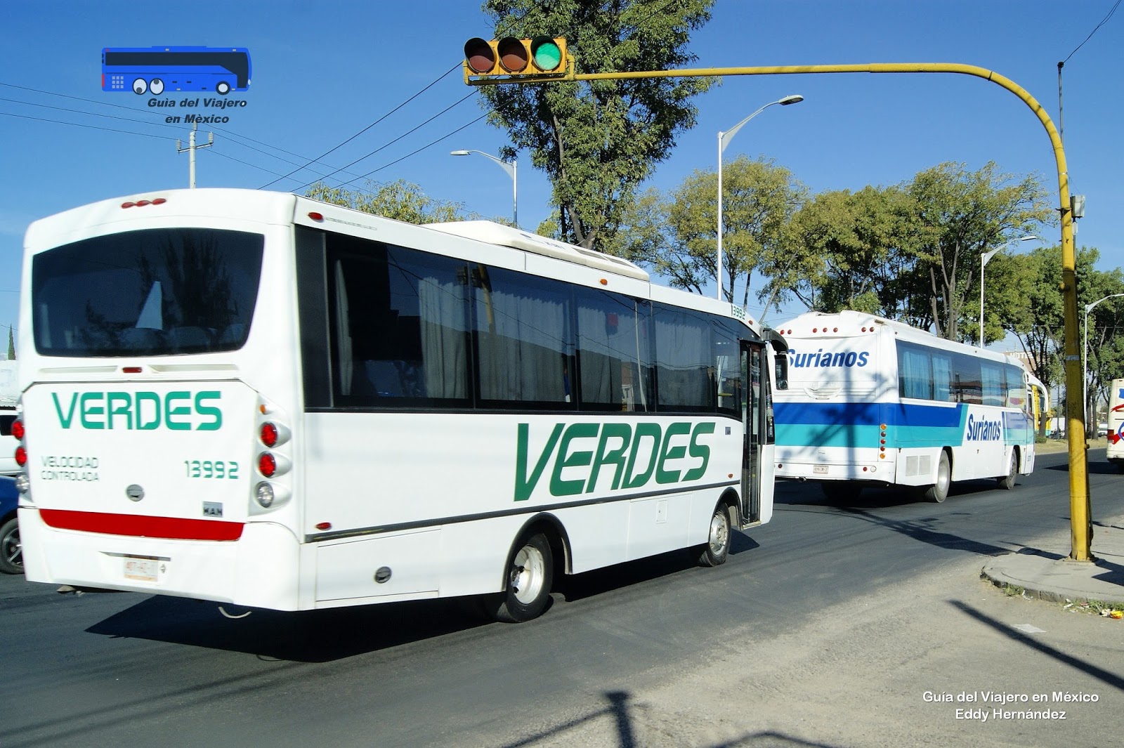 Todas estas líneas de autobús tienen algo en común