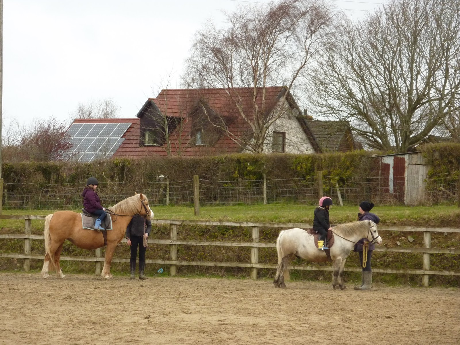 LIFE AS IT IS : One Cat Farm Glamping site, Wales - A review