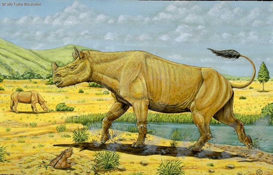 Escenarios prehistóricos: Menoceras