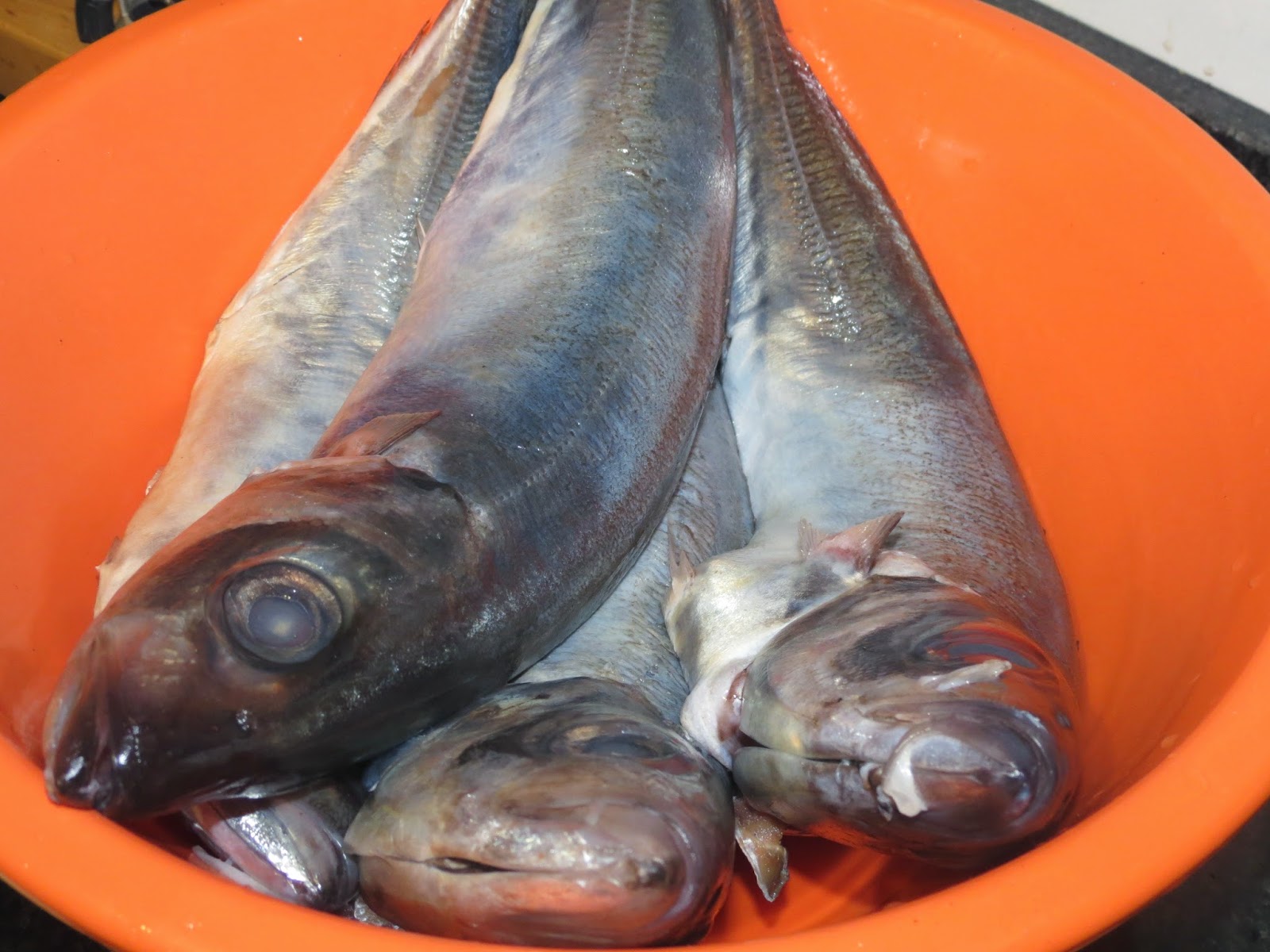 As Receitas do Meu Pitucho: CHICHARRO RECHEADO NO FORNO