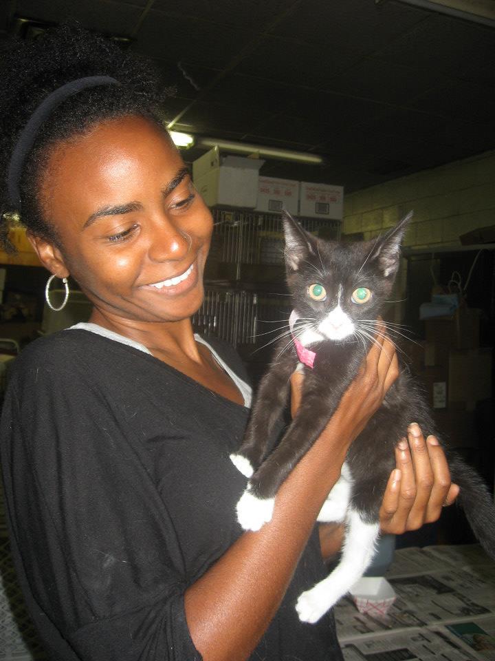 Hyde Park Cats | TNR: AWL