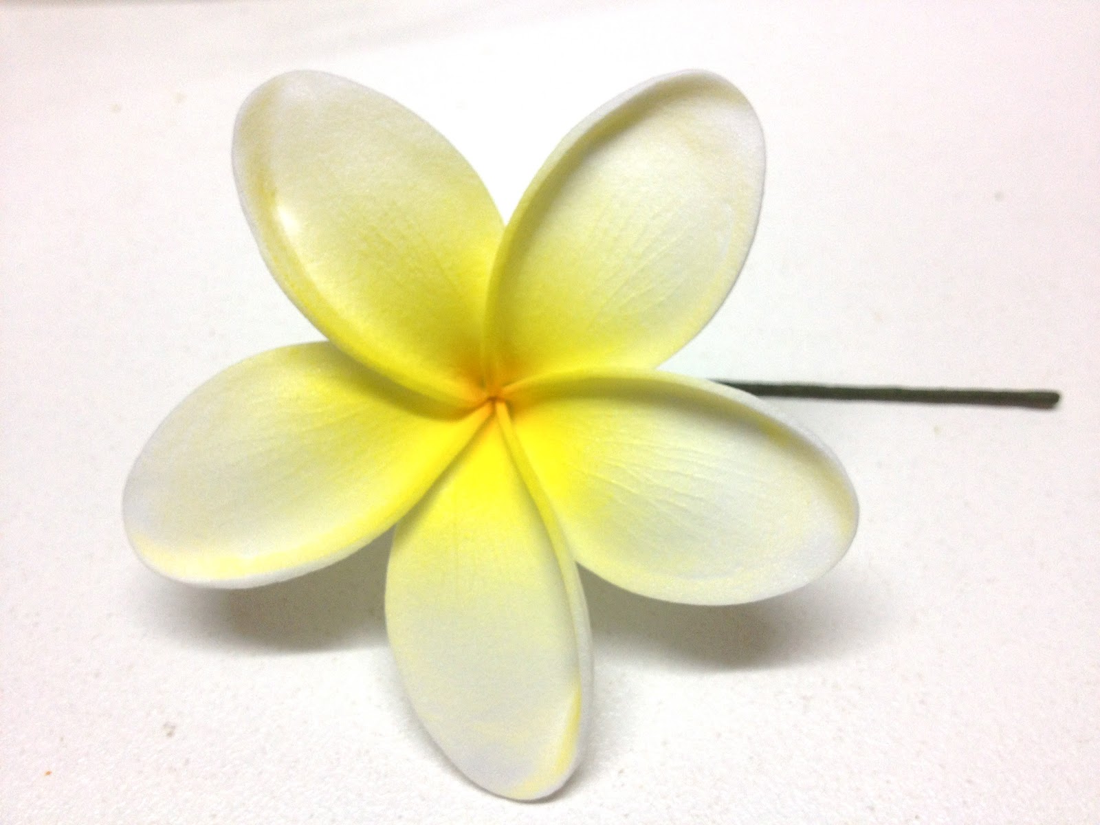Norfolk Bath and Body: Island Flower Hair Pins and Clips
