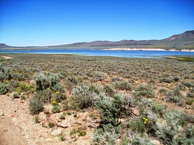 Tight Lined Tales of a Fly Fisherman: March 2014