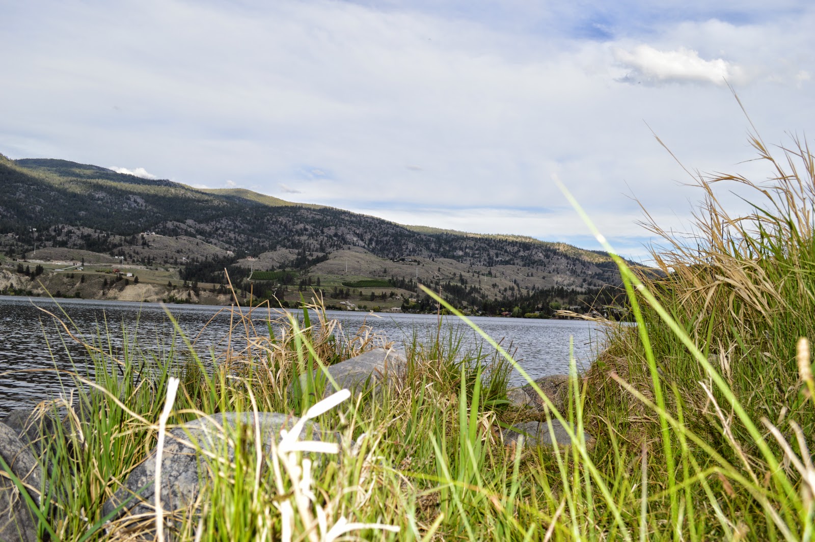 Footloose: On Wed. evening we drove to Kaleden just south of Penticton ...