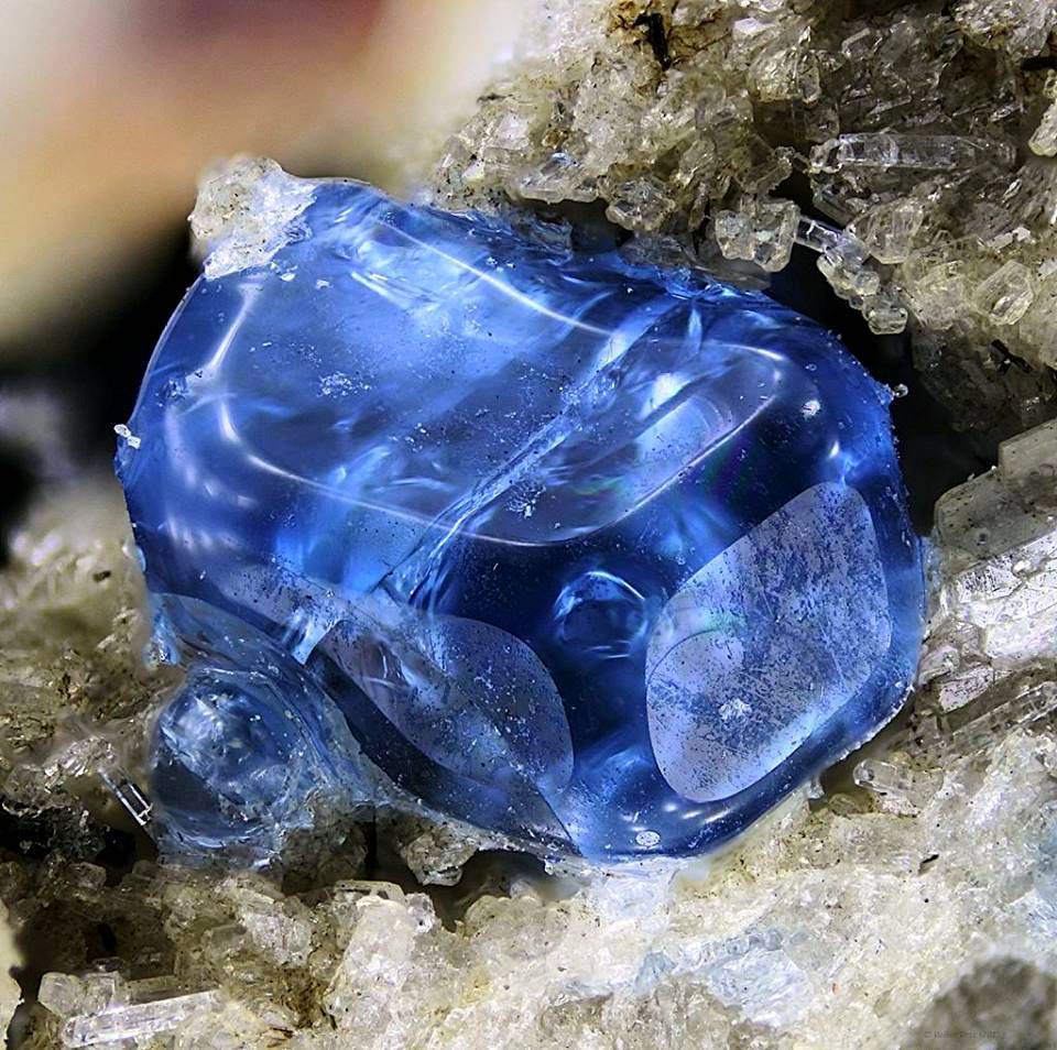 Haüyne Crystal in a Vug of a Sanidinite | Geology In