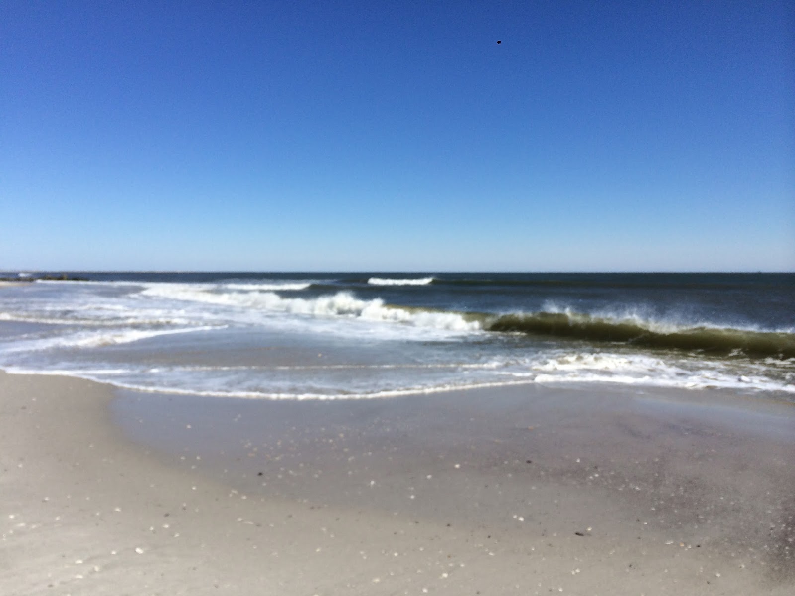 Gone To The Beach: Spring? and the Surfing Beach
