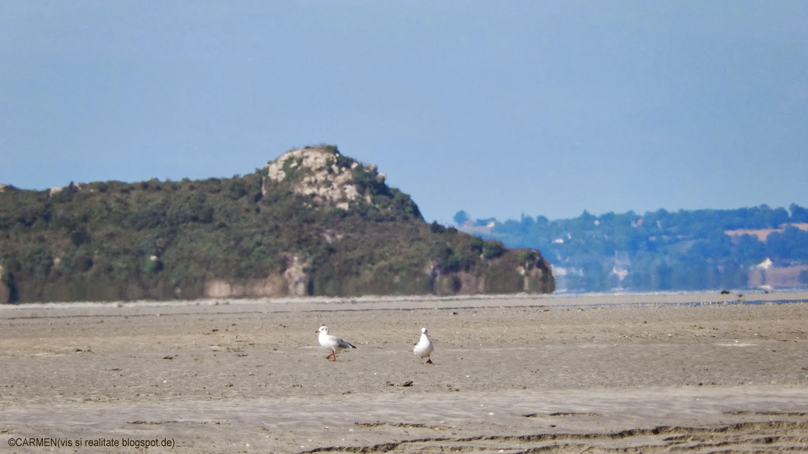 Între vis si realitate 2: Miercurea fara cuvinte (42) - Flux si reflux ...