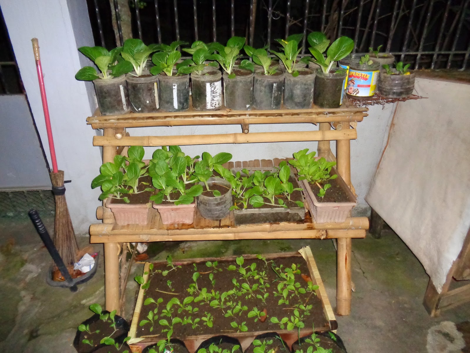 Simply Homebased Mom - The Practical Filipina: Gardening: Planting ...