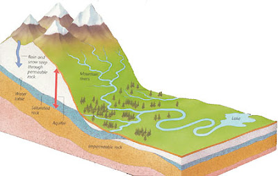 The Coleman Academy for Girls: Usborne Quicklinks ~ Week 36