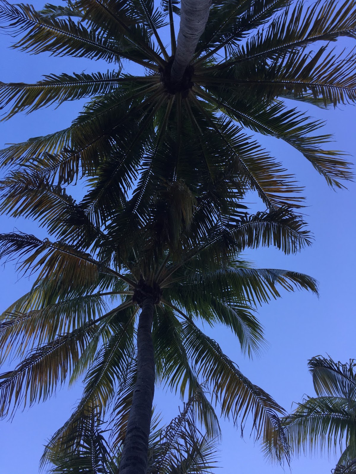 Wanderlust Wednesdays - Key West - Green Fashionista