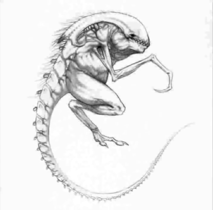 Alien Explorations: Jordu Schell's Alien Resurrection Newborn concept ...