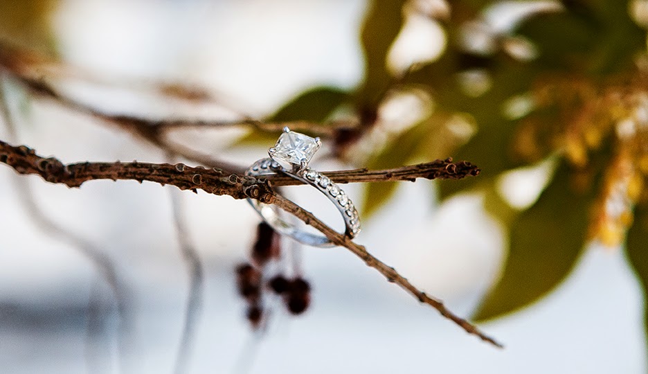 Liz Warnek Photography - Phoenixville Wedding Photographer : March ...