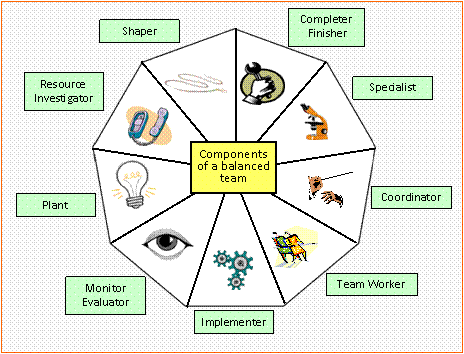 Knowledgebag4: Adapt Belbins Theory