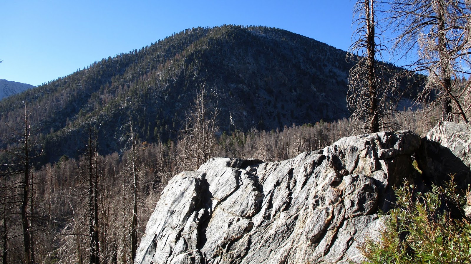 Iron Hiker: Charlton Peak, Little Charlton, and Poopout Hill