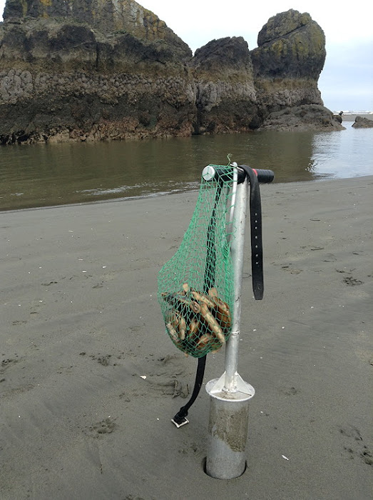 Rusty Ring: WW: Netful of razor clams