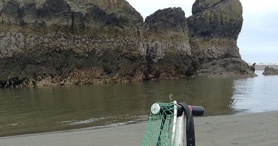 Rusty Ring: WW: Netful of razor clams