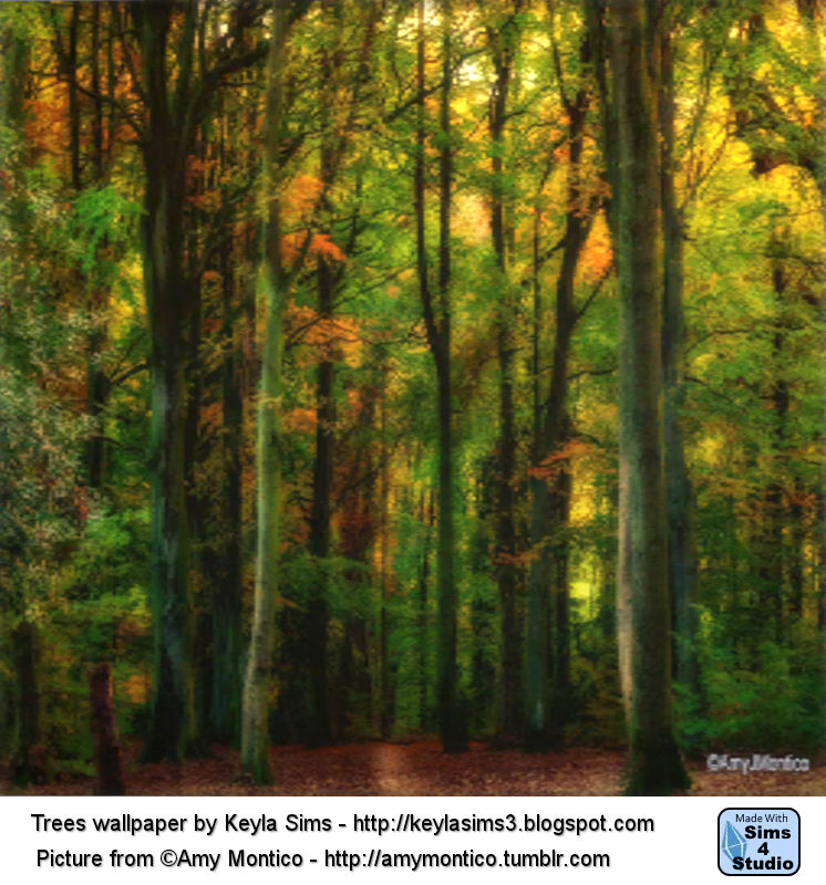 Keyla Sims : TS4 Custom Content: Wallpapers by Keyla - ©Amy Montico