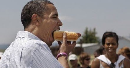 MIssing 411 Remote Viewing Project: Obama flys in 65k of "hot dogs" to ...