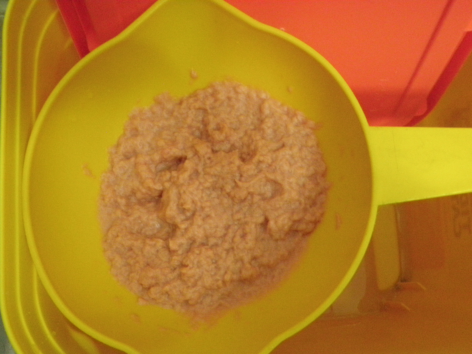 Crafting The Frugal Way: Paper Casting Embellishments