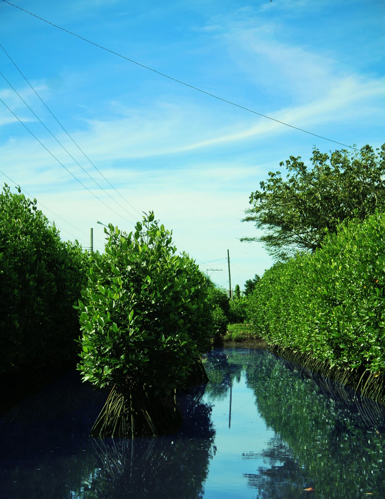 Tagum Snapshots: A GLIMPSE OF TAGUM CITY