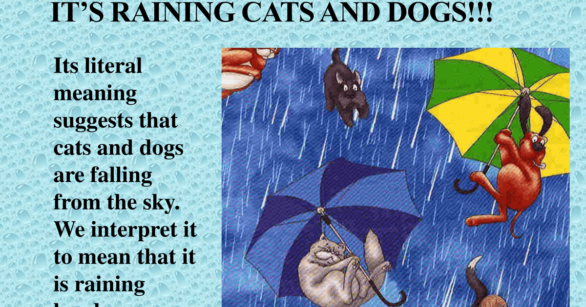 English In Jerez: Language Snippets - Idiom: It's raining cats and dogs