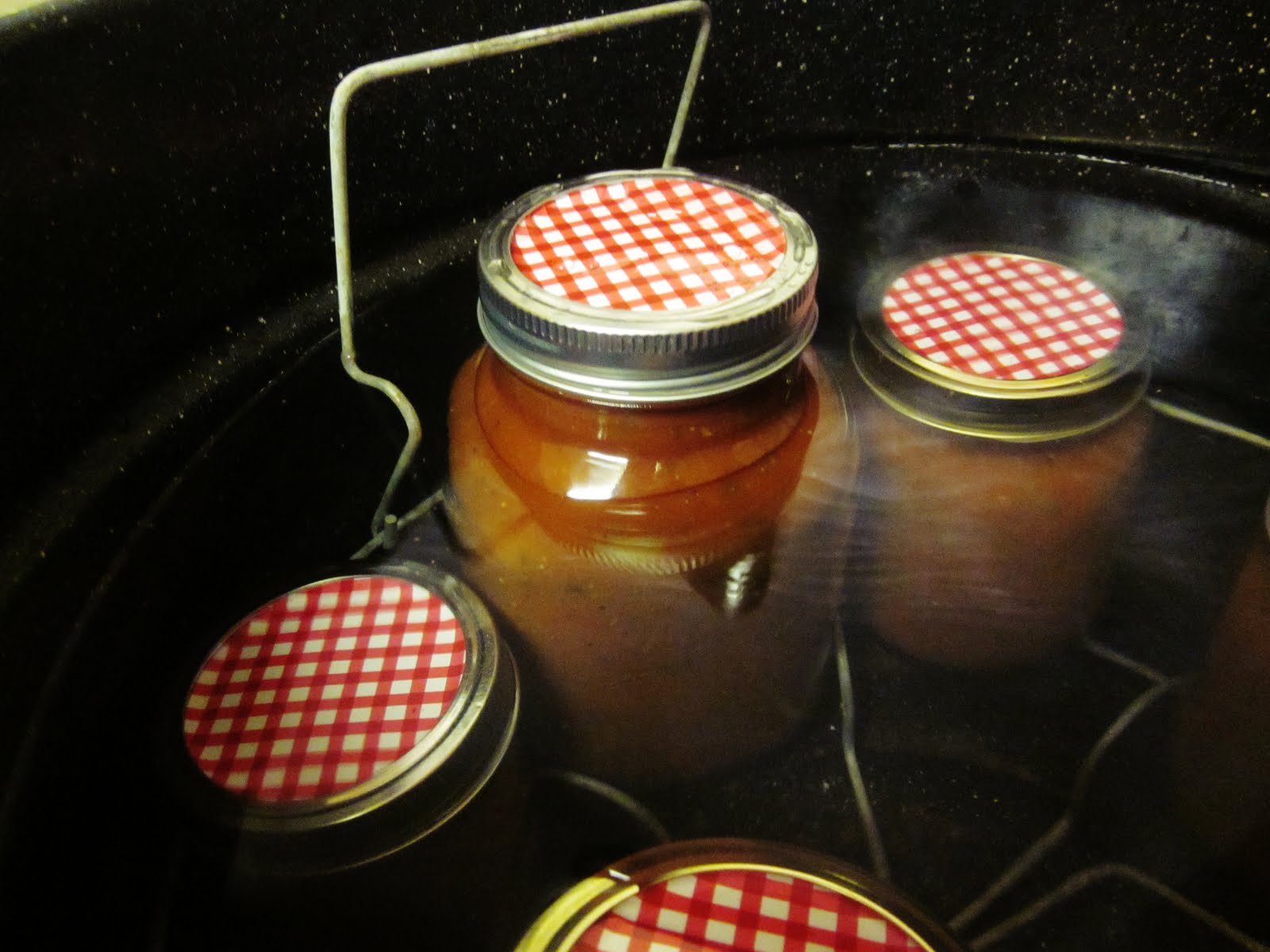 Preparing Wisely: Canning Homemade Salsa