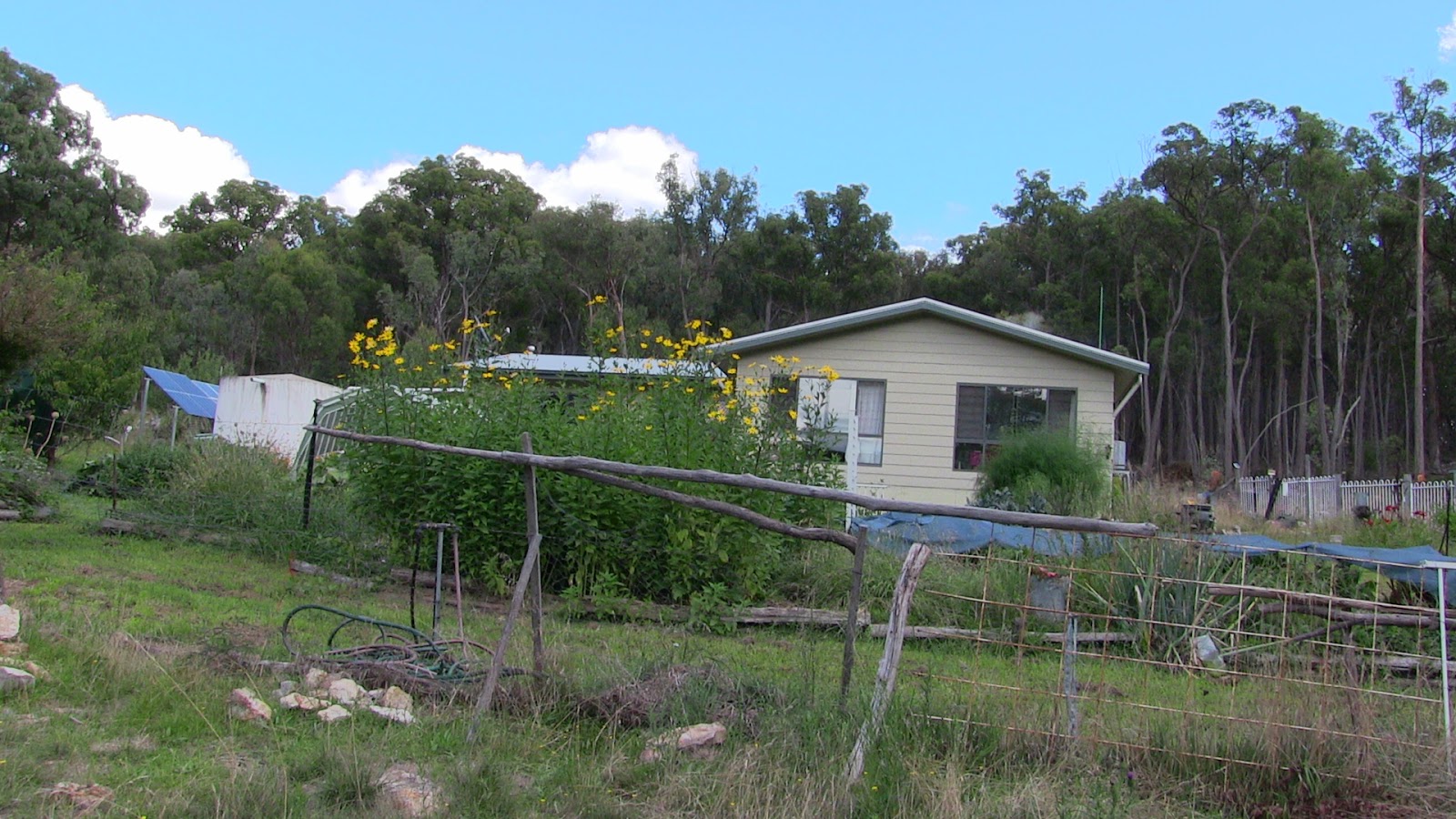 Australian Survival and Preppers..: For The Survival Homestead ...