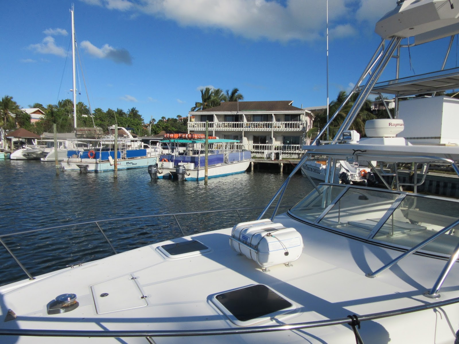 TCI/Provo 4/7-4/21/16: 4/13/16 BEACH, POOL, SHARKBITE BAR & GRILL, BACI