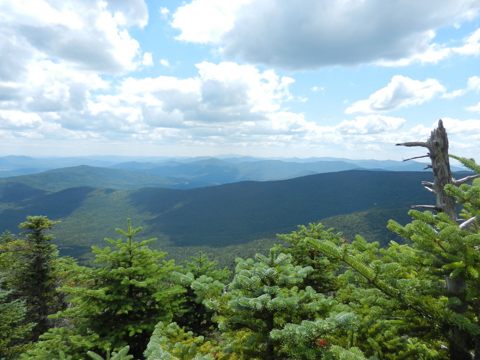 Off on Adventure: Bread Loaf Mountain & Mount Wilson - VT - 7/21/12