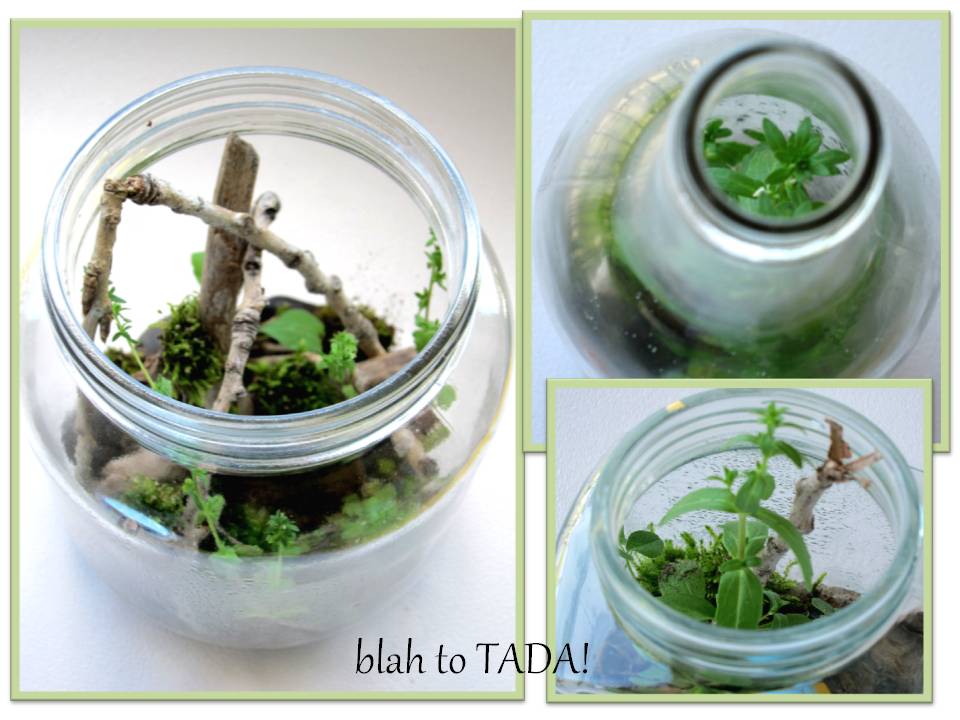 blah to TADA!: Nature in a Jar