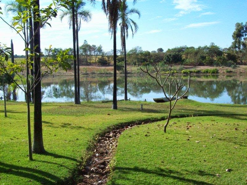 Fazendas em Goiás: Fazenda em goiás município de Indiara