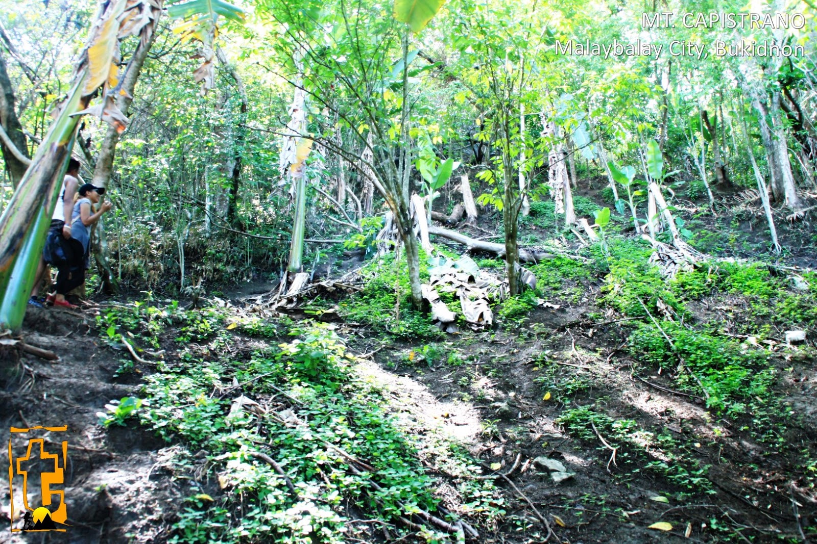 TREKERO: TREKKING MT. CAPISTRANO: A Quick Guide