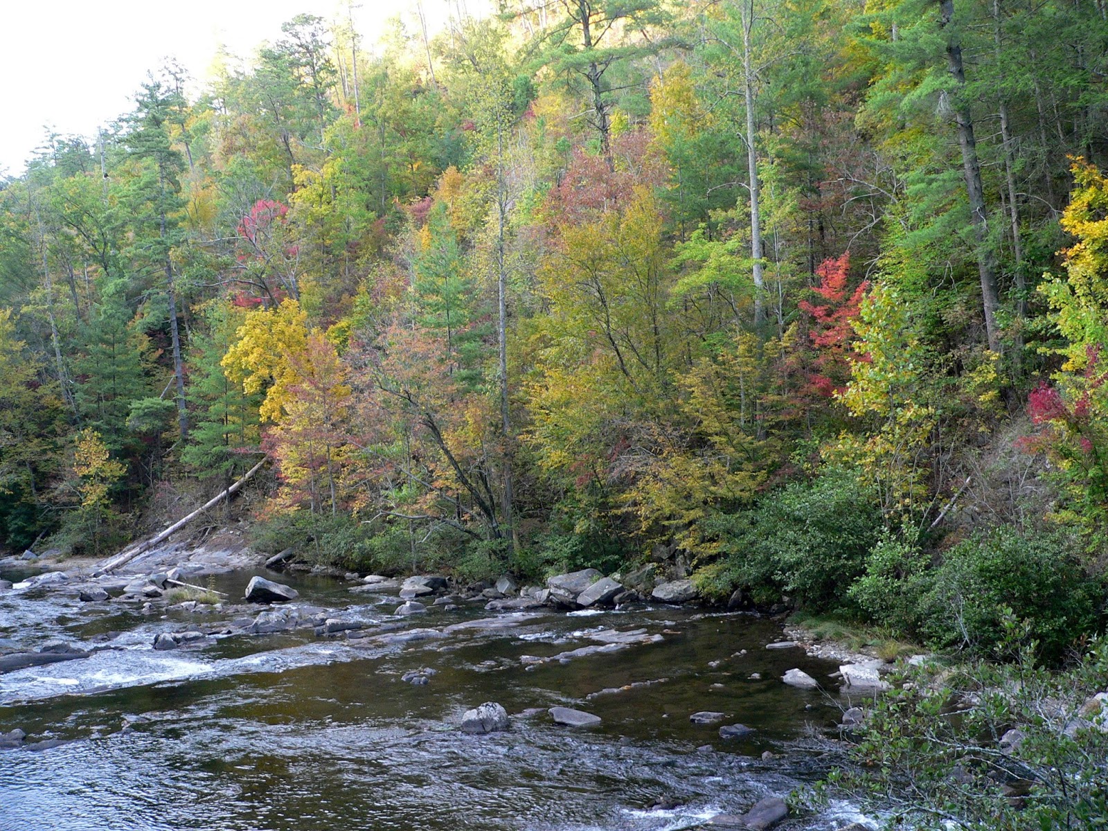American Travel Journal: TBT: Tellico River and Bald River Falls ...