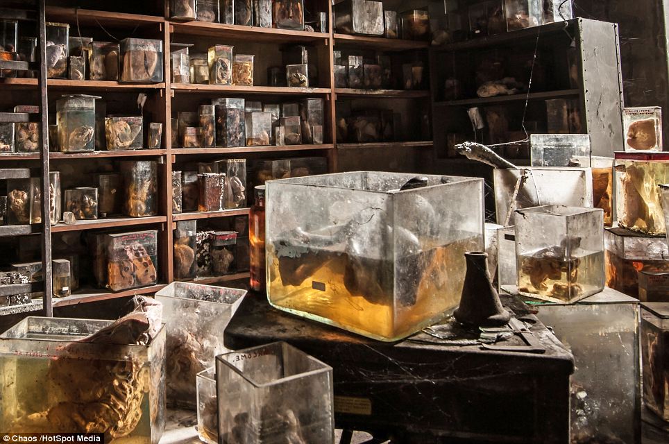 Abandoned Biochemistry Labs and Chemical Plants