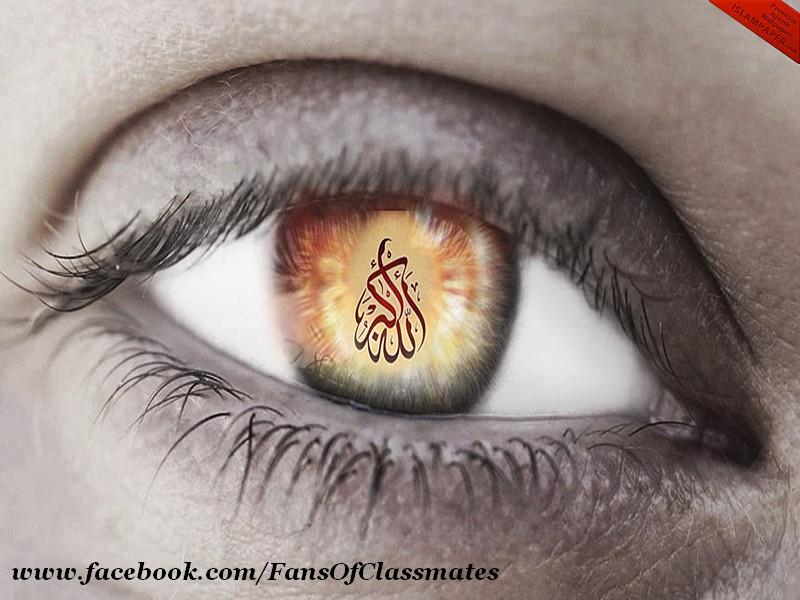 Love with Allah And Rasool: Beautyfull name with Wallpaper