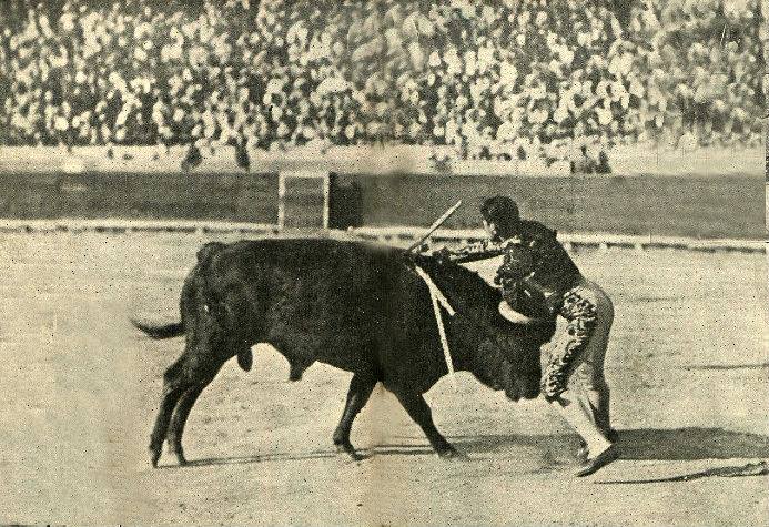 Toro, Torero y Afición: Sobre una estocada