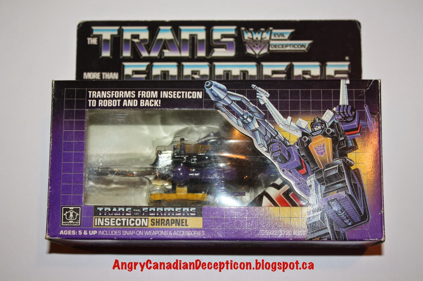A Transformers Blog - My Life In Collecting: G1 Insecticons Bombshell ...