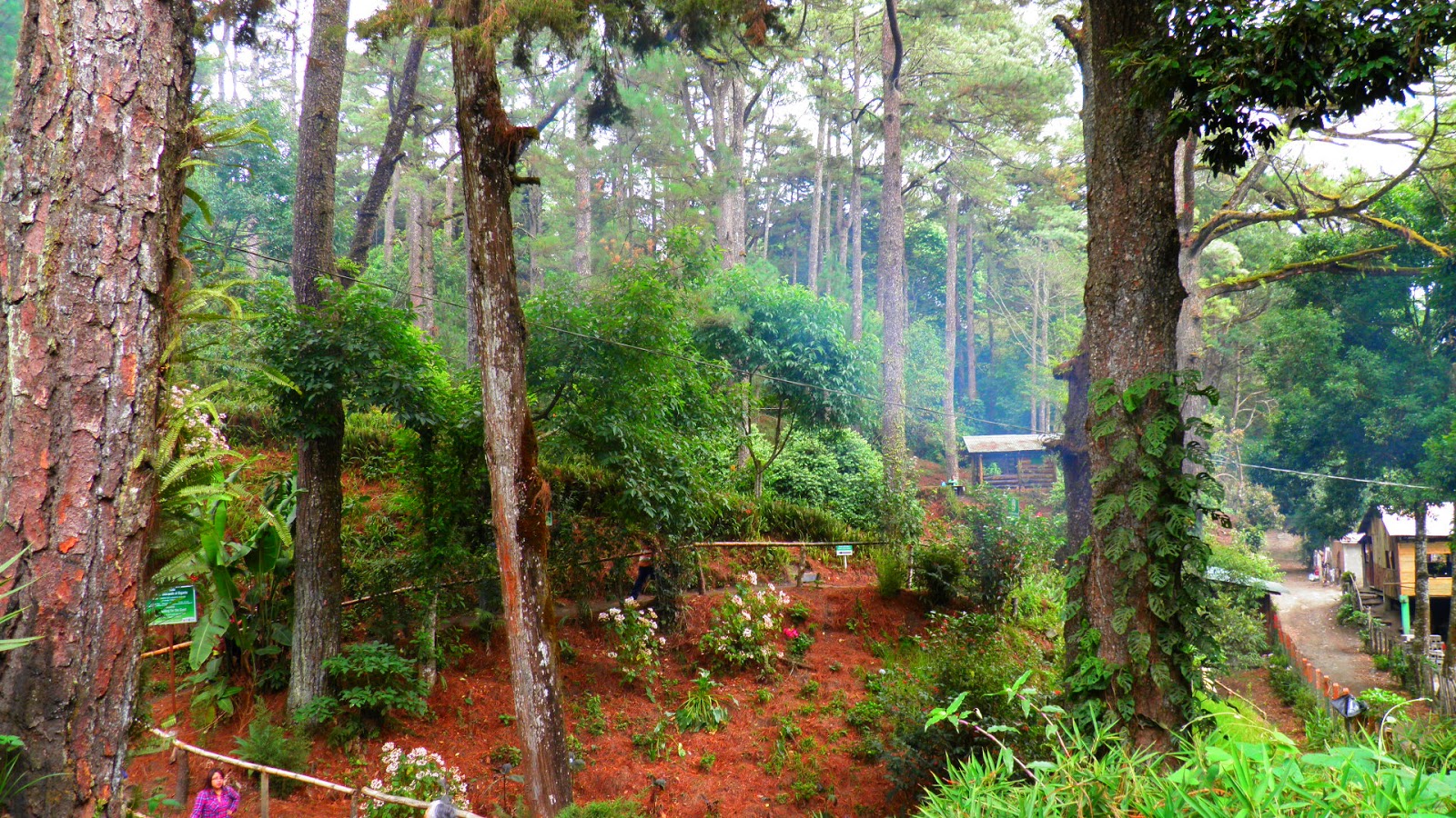 El Salvador Travel: Parque El Boqueron