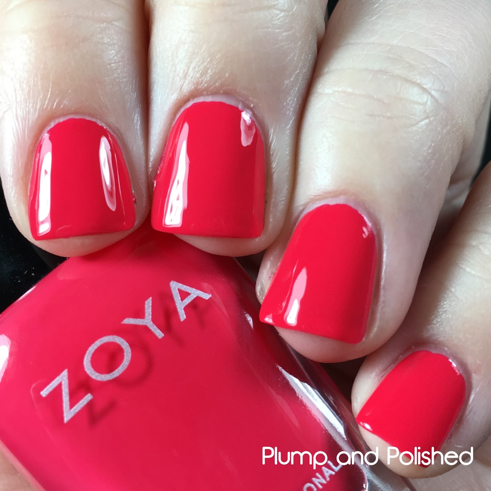 Plump and Polished: Zoya - Sunsets Collection [Summer 2016]