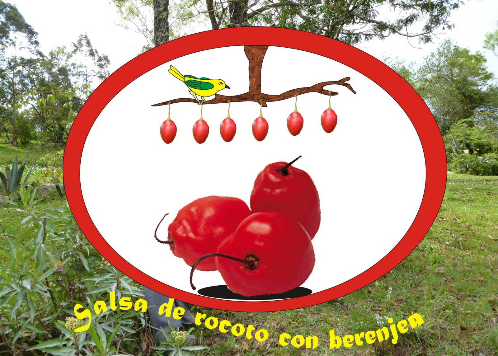 salsa de rocoto con berenjena: salsa de rocoto con berenjena