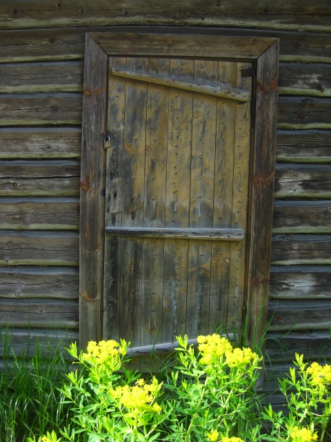 365 kuppia kahvia: Kukkailta