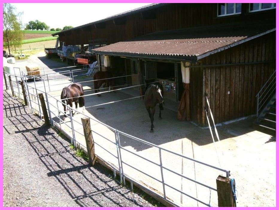 14 Muki Kitchen Photos - C0BC EDDIE COOLEY'S BLOG