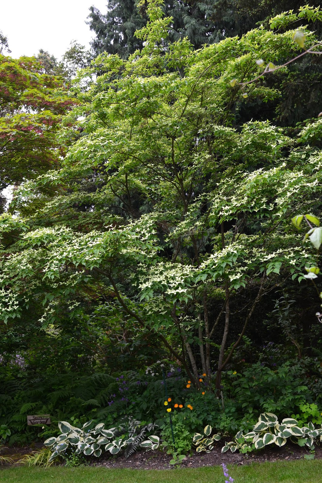 Linda Letters:: What's Up