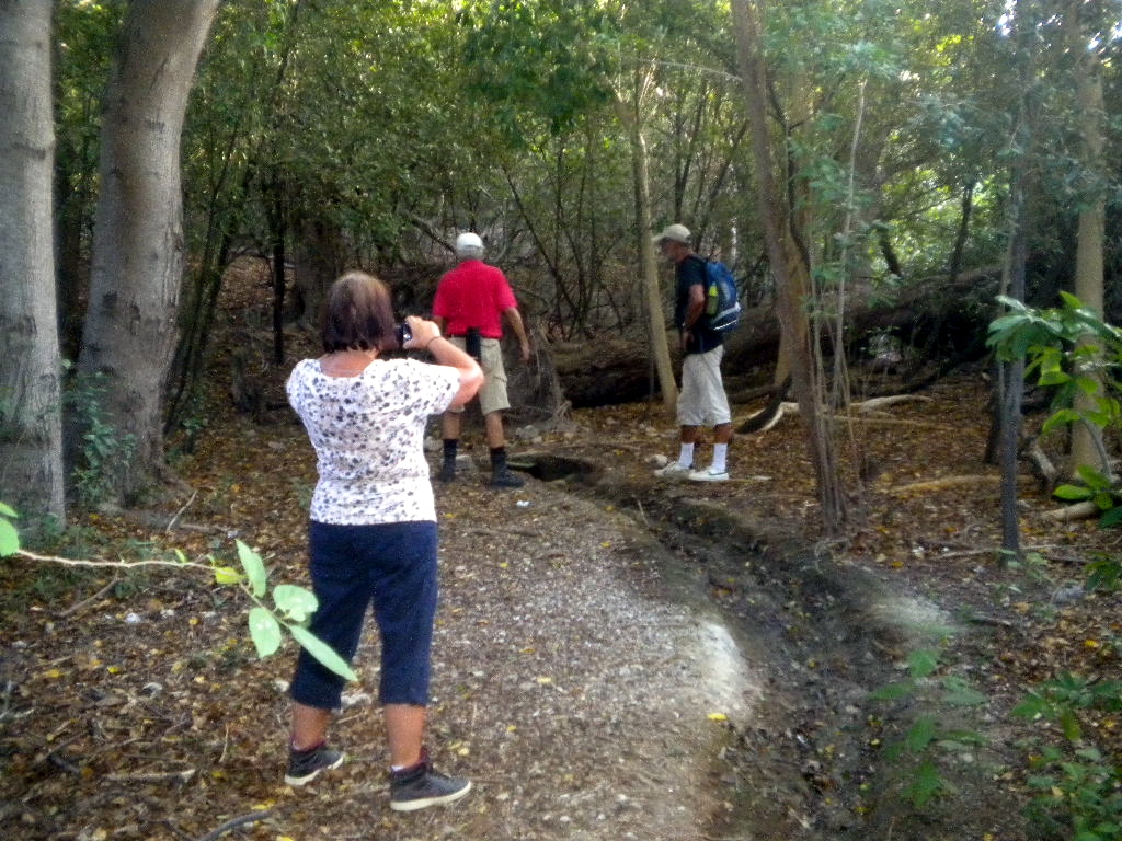 Hiking Curaçao - The Trails: Landhuis Hato en Rooi Rincon (Parkietenbos ...